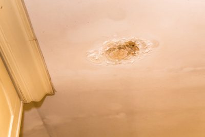 How to Track Down the Source of Ceiling Water Damage | Rytech